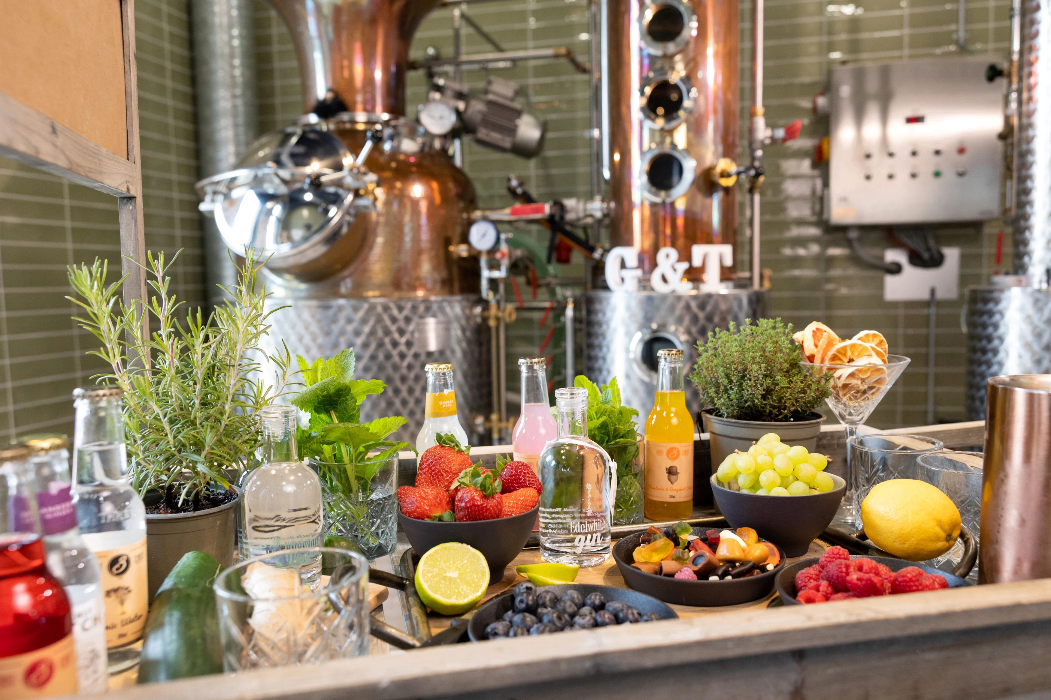 Edelwhite Gin Destillerie: Workshop zur Kunst des Gin Destillierens