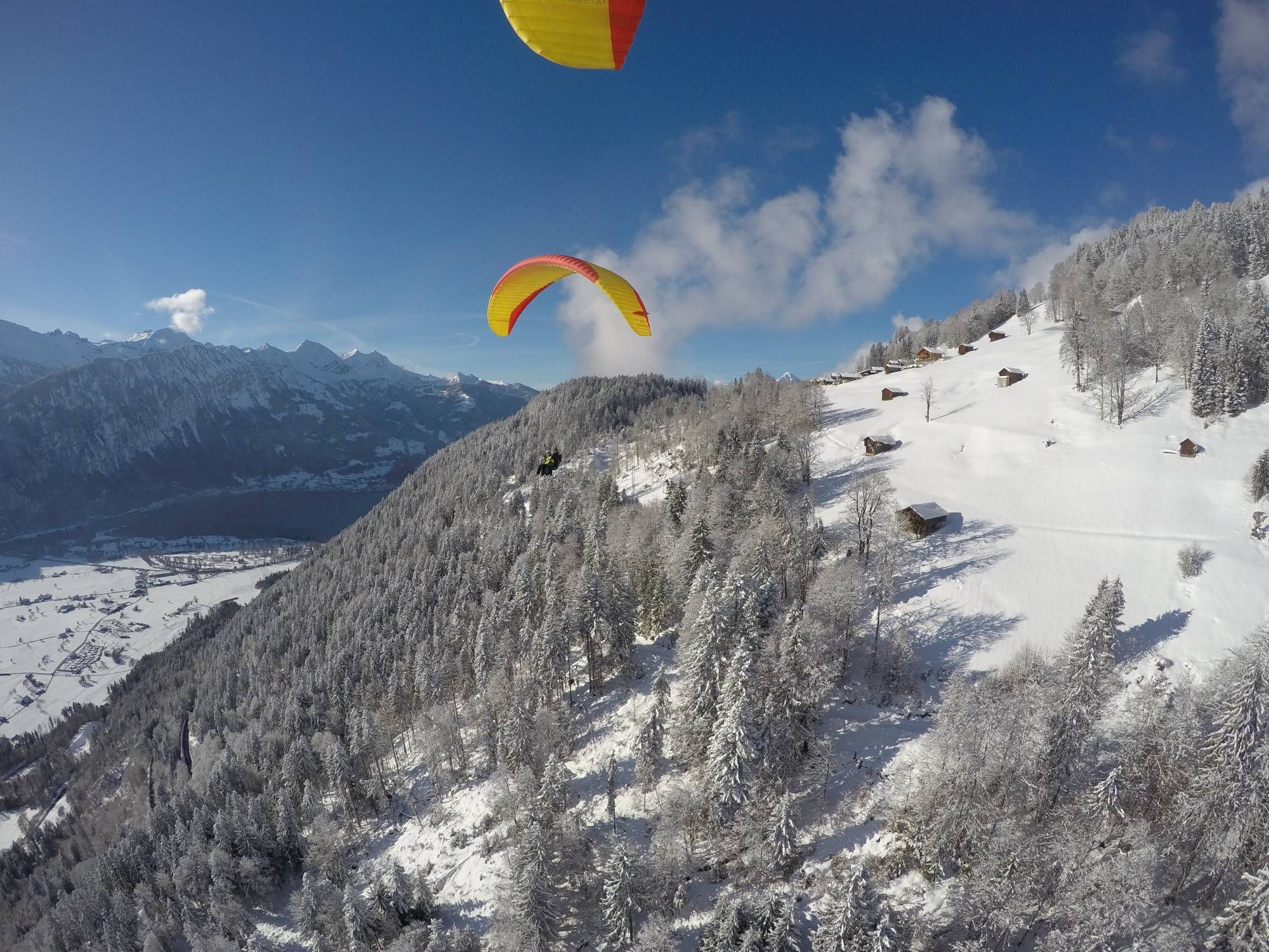 Beatenberg Gleitschirmfliegen Tandem im Winter ab Interlaken