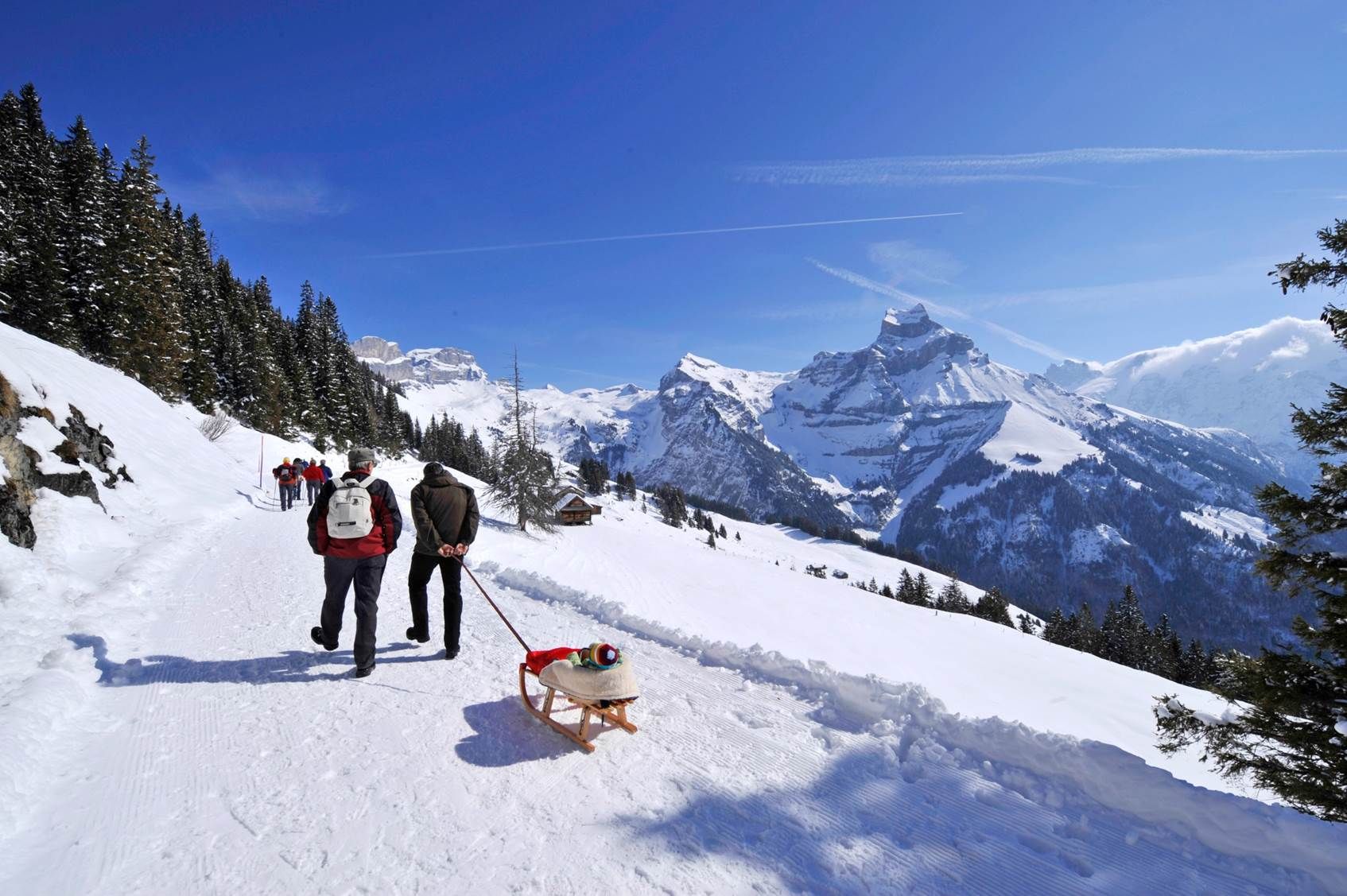 The best Sledding offers in Switzerland