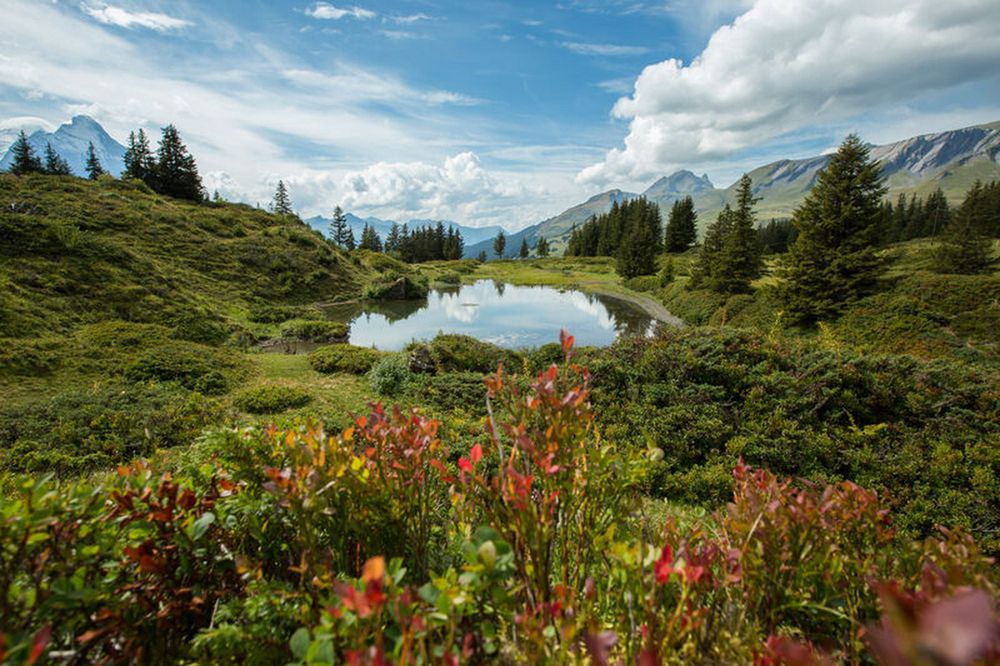 The best Things to Do in Bern Region 2022 | Swiss Activities