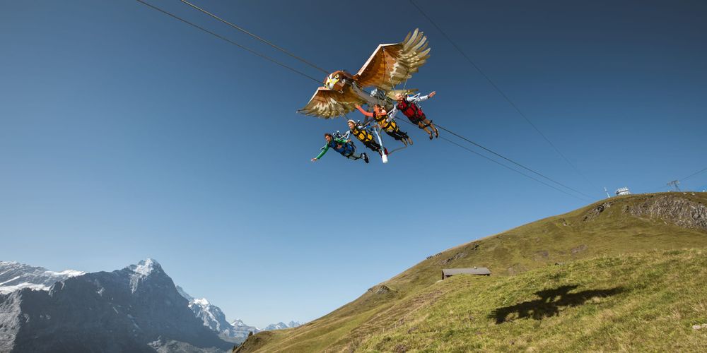 Grindelwald First - mit der Seilbahn zum Top of Adventure | Swiss ...