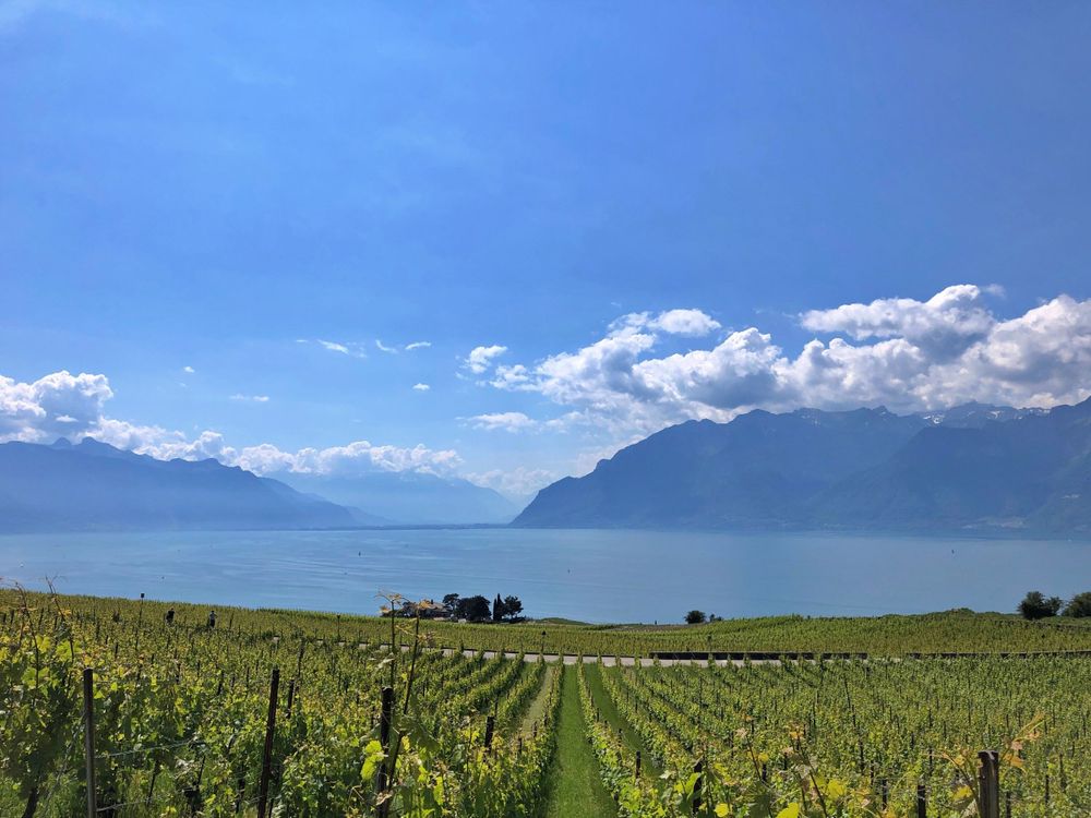 The best Things to Do in Lake Geneva region 2022 | Swiss Activities