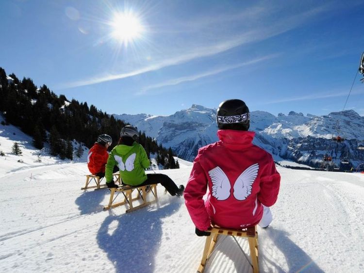 The best Sledding offers in Switzerland | Swiss Activities